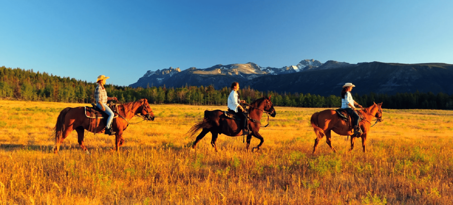 BC's Guide to Arts & Culture | Art-BC | Arts and Culture in BC