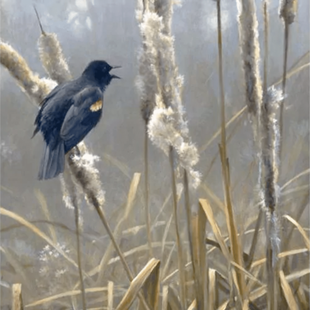 BC's Guide to Arts & Culture | Art-BC | Arts and Culture in BC