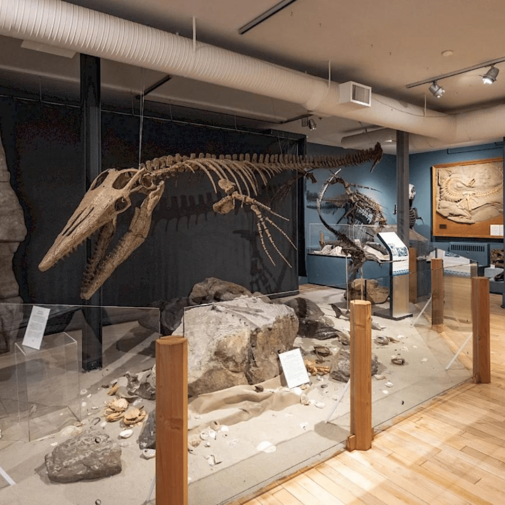 BC's Guide to Arts & Culture | Art-BC | Arts and Culture in BC